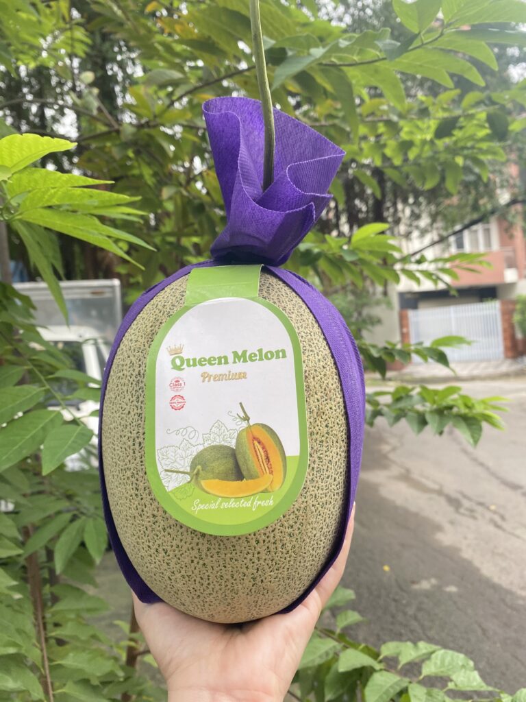DƯA LƯỚI ĐÀI LOAN QUEEN MELON